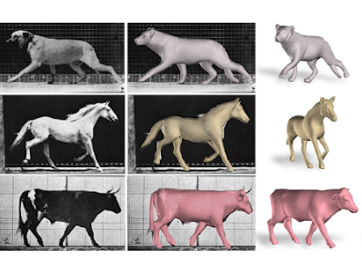 Modeling the 3D shape of animals | Perceiving Systems Blog